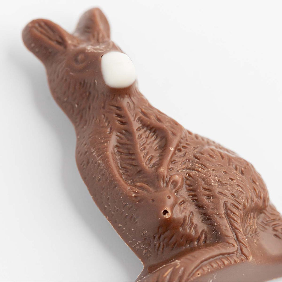 Chocolate Kangaroo Pop – Kakawa Chocolates